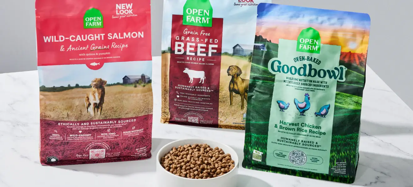 Open Farm Dog Food Review: Our 4-Week Open Farm Trial